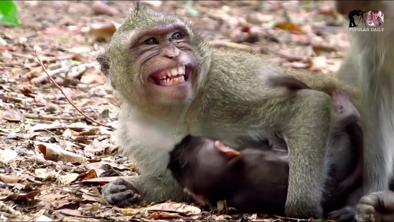 Action Adorable Tiny Baby SuSan With Baby Sami,Sami Hug Mom Sleep And ...