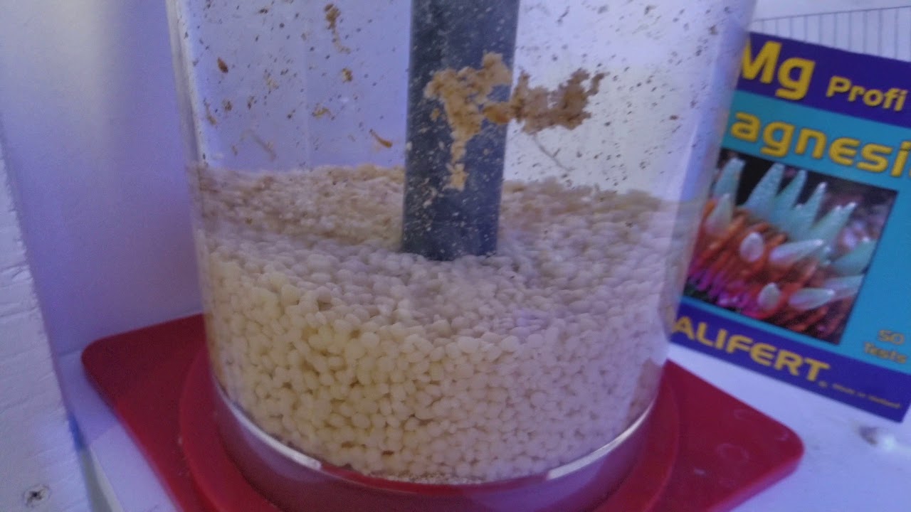 Bio pellets and Gfo for beginners - YouTube