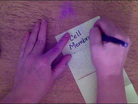 Cell Parts:Functions Foldable Video #1 - YouTube