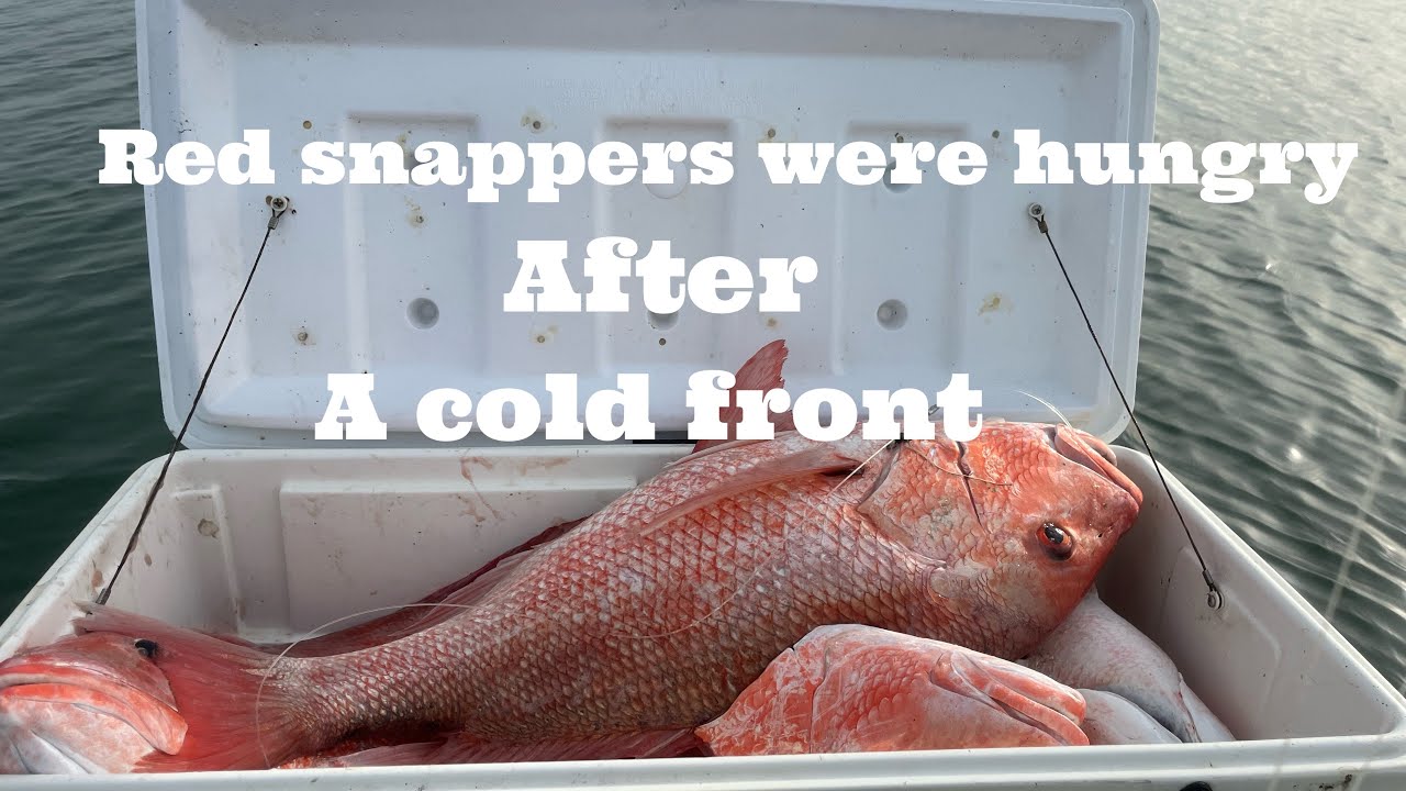 Red snapper fishing on a flat day - YouTube