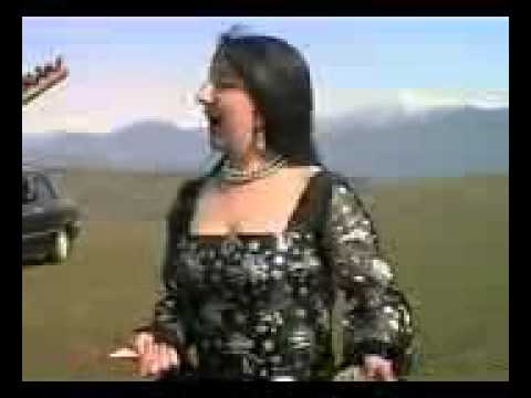 videoplayback