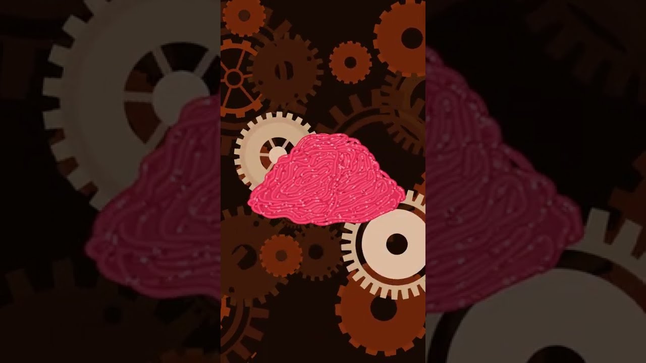 SCP-914 with Five Pounds of Raw Ground Beef! - YouTube