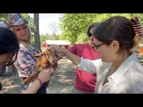 FUNNY FARM LIVE SHOW Episode 111 - YouTube