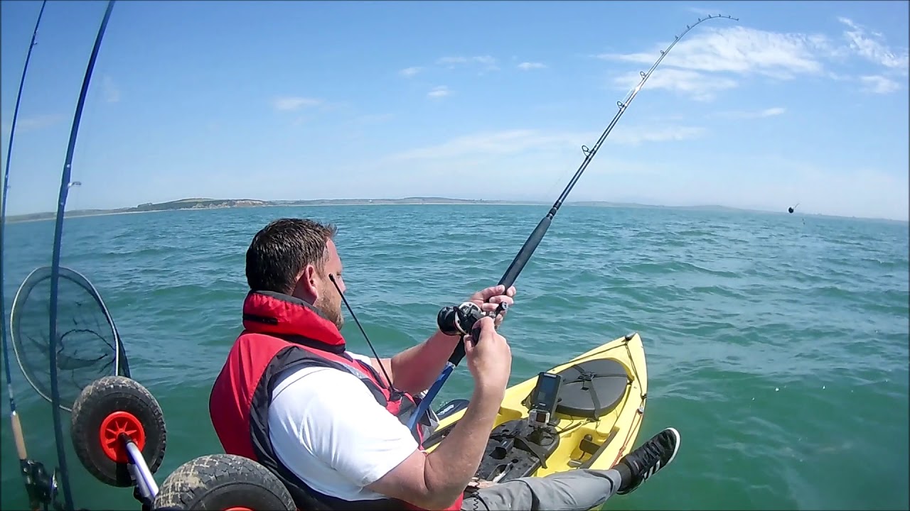 kayak fishing holyhead anglesey dogfish and rays - YouTube