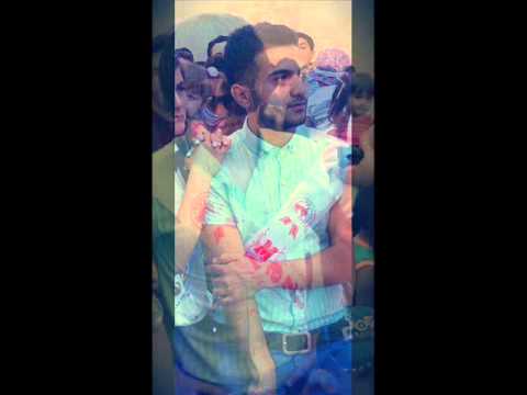 Son Zeng 2014 11B Mahni. 2020