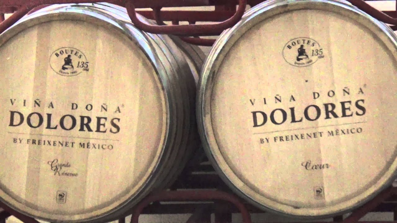 Freixenet, Finca Sala Vive, Queretaro, Mexico - YouTube