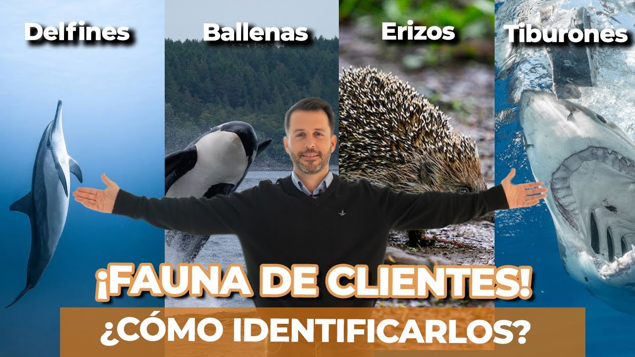 #Fauna de #Clientes ¿Cómo identificarlos? - YouTube