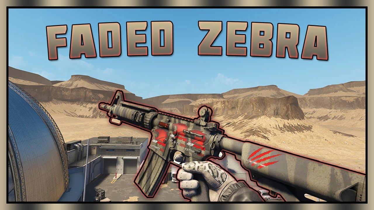 M4A4 Faded Zebra Showcase! (CS2 Skin Showcase) - YouTube