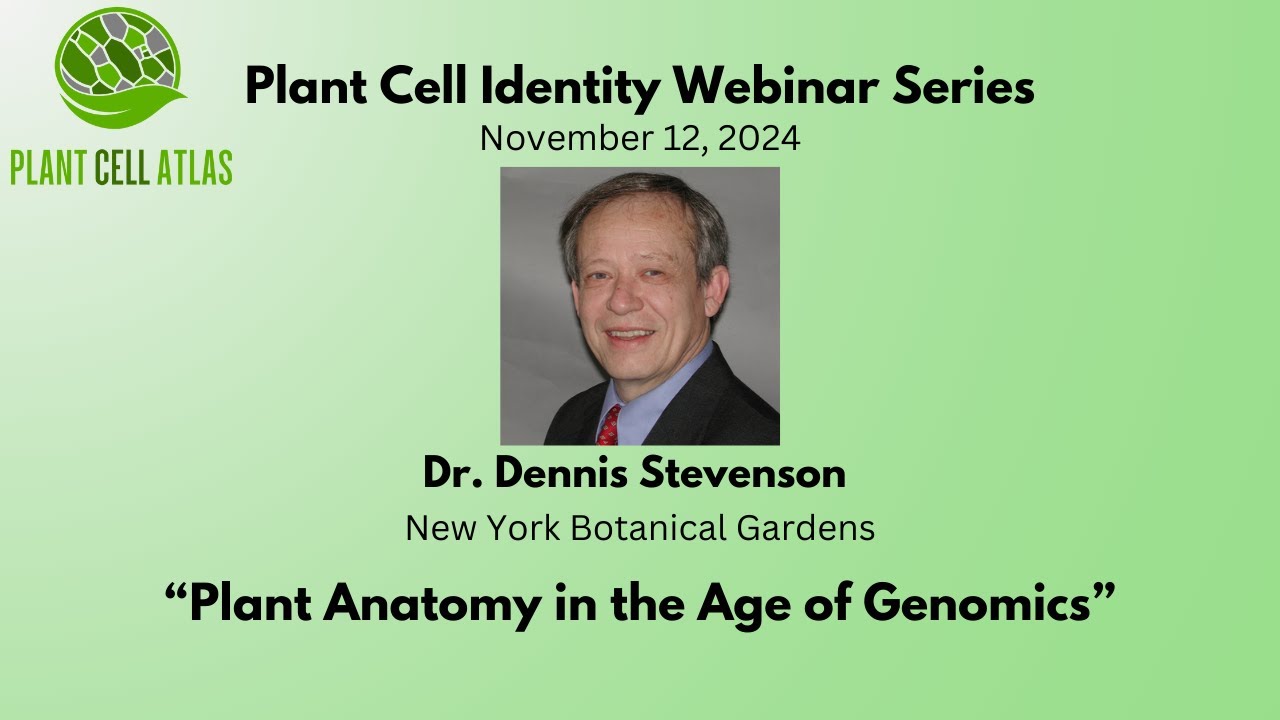 Plant Cell Identity Webinar Series - Dr. Dennis Stevenson (New York ...