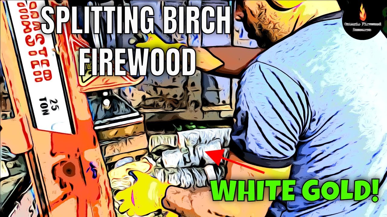 SPLITTING BIRCH FIREWOOD - ONE OF MY FAVOURITE SPECIES TO BURN SPLIT ...