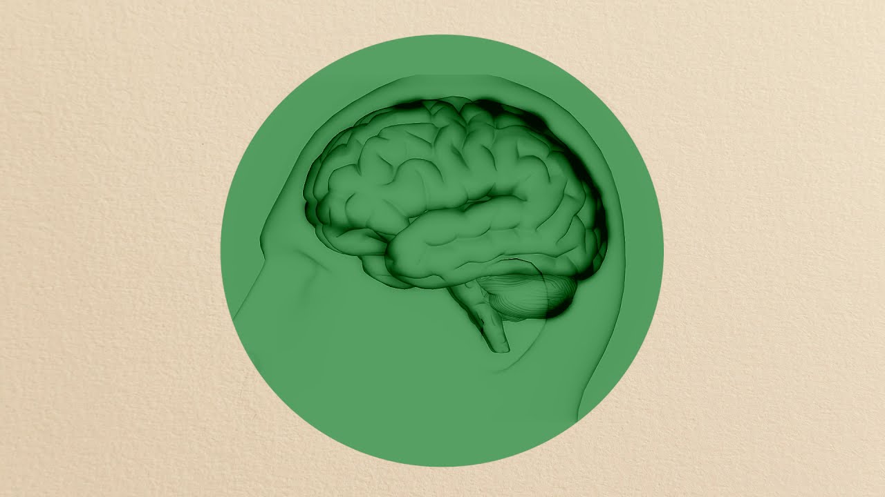 How to be Smart - Adaptive Mindsets Training - YouTube