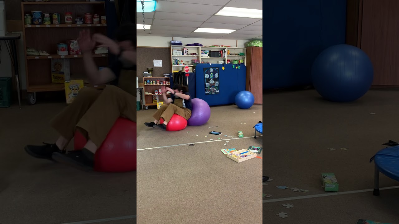 Practical Functional Assessment (PFA) and Interview Informed ...