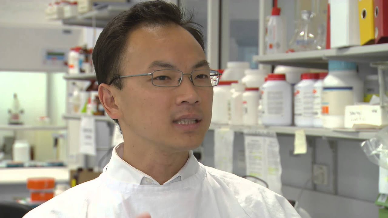 Dr James Chong on his collaborative research to grow heart muscle cells ...