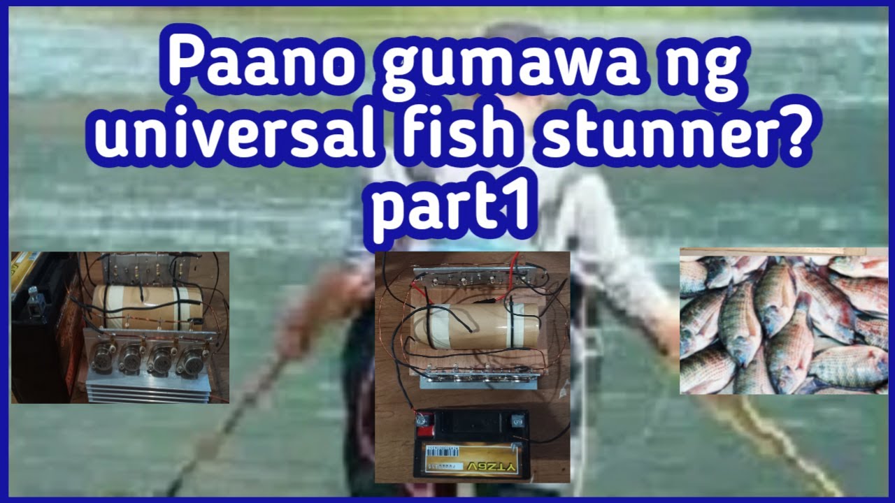 HOW TO MAKE UNIVERSAL FISH STUNNER? PART 1 - YouTube