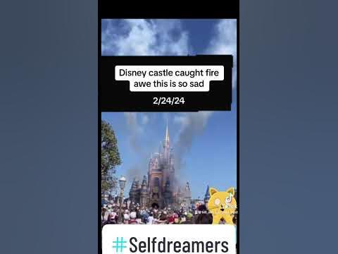 Disney caught #cinderella #castle on fire #selfdreamers - YouTube