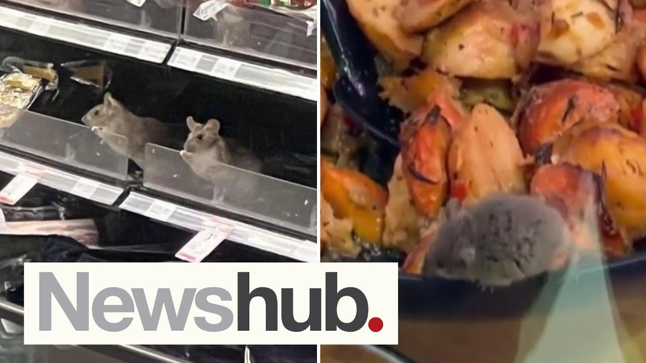 Oh rats! Shock as rodent spotted in ANOTHER Countdown store | Newshub ...
