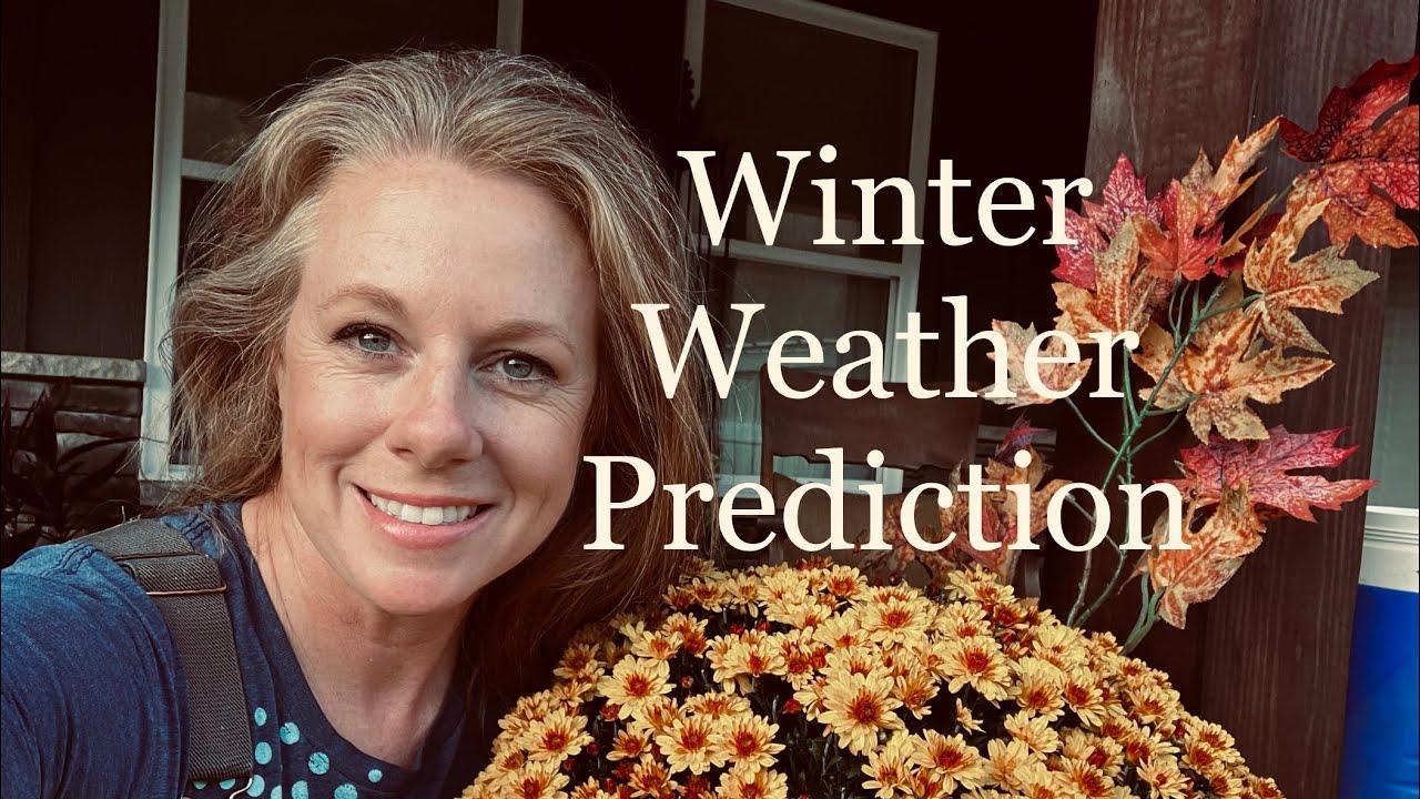 Persimmon Seed Winter Weather Prediction! 2024/2025 - YouTube