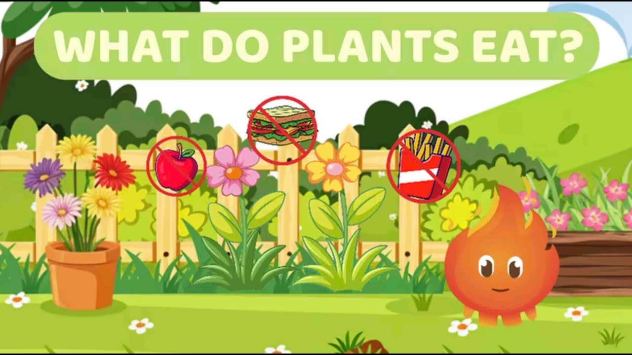 🌿 What Do Plants Eat? Let’s Find Out with Blaze! 🌞 - YouTube