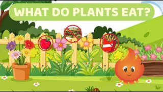 🌿 What Do Plants Eat? Let’s Find Out with Blaze! 🌞
