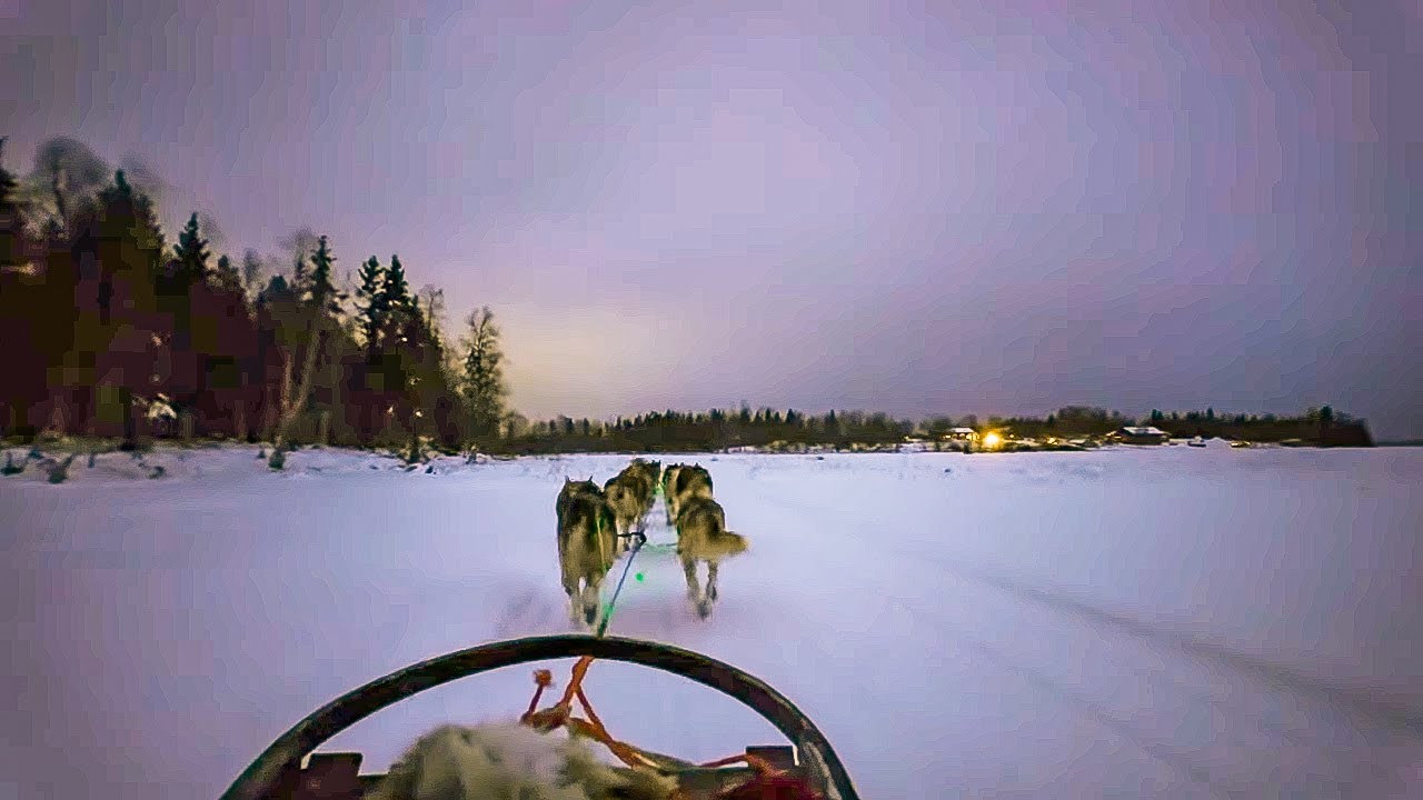 Epic Husky Adventure In Beautiful Lapland - YouTube