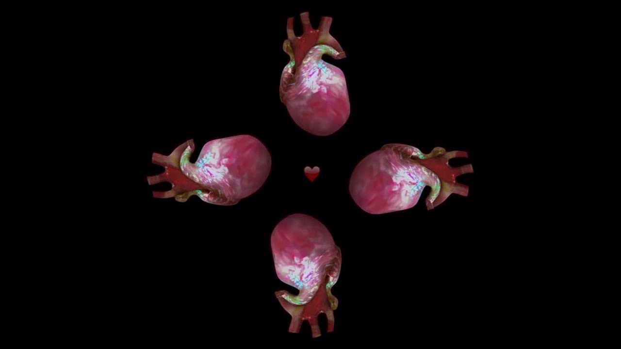 Hologram Pyramid Movie Human Heart 3D - YouTube