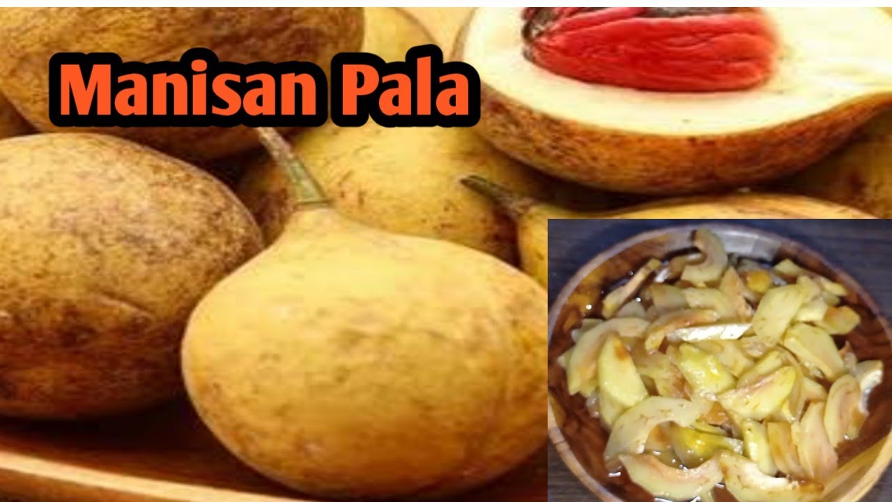 Resep Manisan Pala Segernya Cuma Dua Bahan‼️Olahan Buah Pala - YouTube