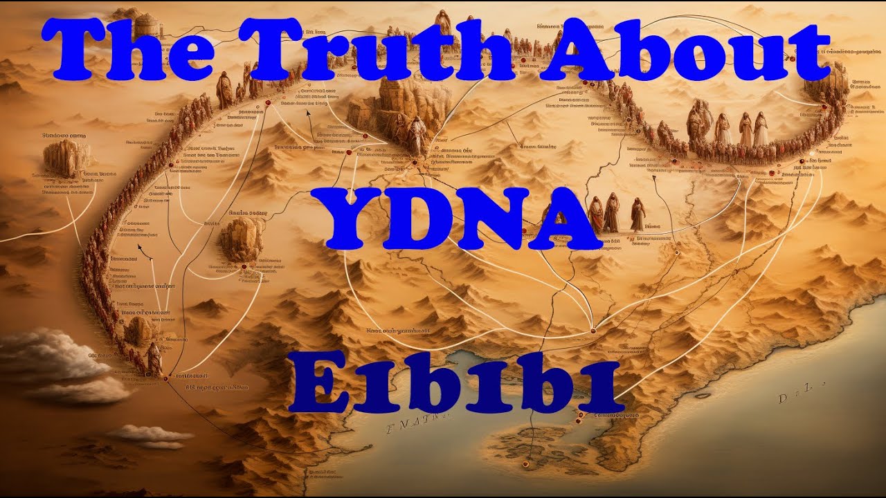 The Truth about YDNA E1b1b1: Israelite Ancestry Revealed and How You ...