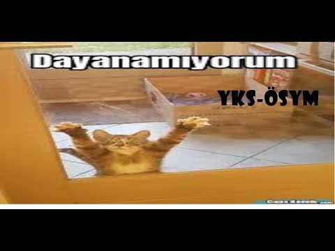 yks mağdurları:(