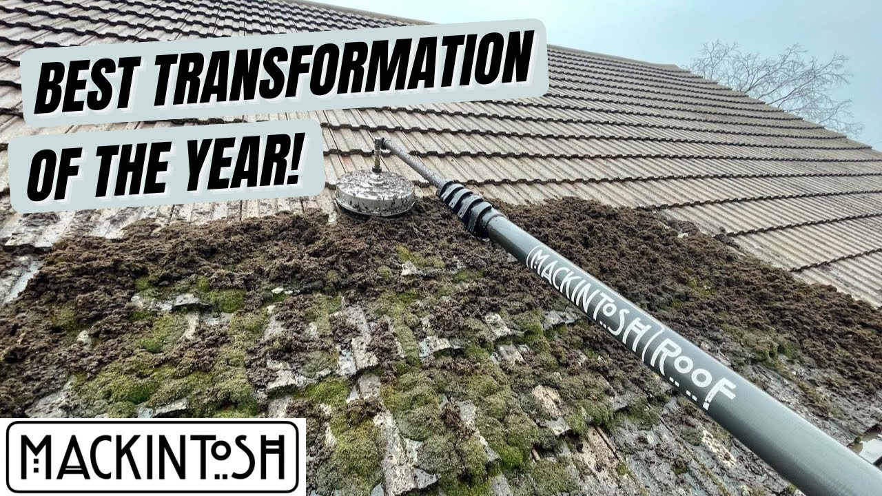Best Roof Cleaning Transformation of the Year! - YouTube
