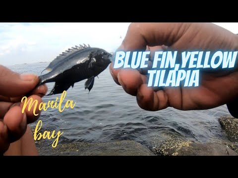 HALANG BREAKWATER MANILA BAY FISHING SPOT - YouTube