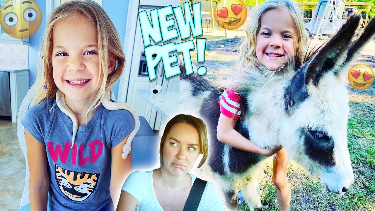 GETTING OUR 6 YEAR OLD DAUGHTER HER DREAM PET YouTube getting-our-6-year-old-daughter-her-dream-pet-youtube