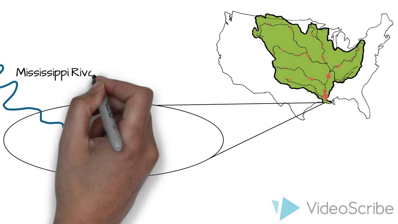Biomimicry Living Filtration System - YouTube