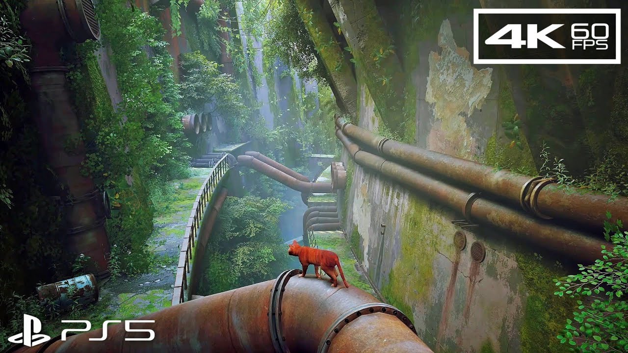 Stray (PS5™) | First Opening Gameplay [4K 60FPS] - YouTube