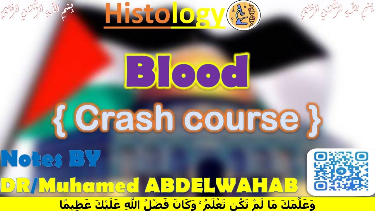Blood - P2 | Crash course | القصر العيني 197 - YouTube