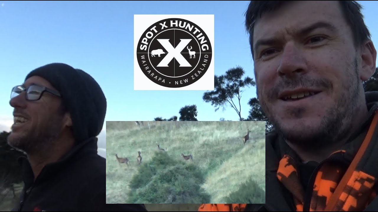 2021 Roar, We're On The Board - Spot X Hunting New Zealand - YouTube