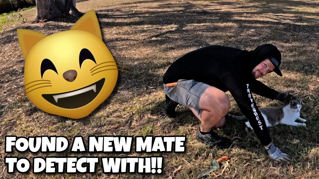 Metal Detecting With A Cat!! | Australian Park - YouTube