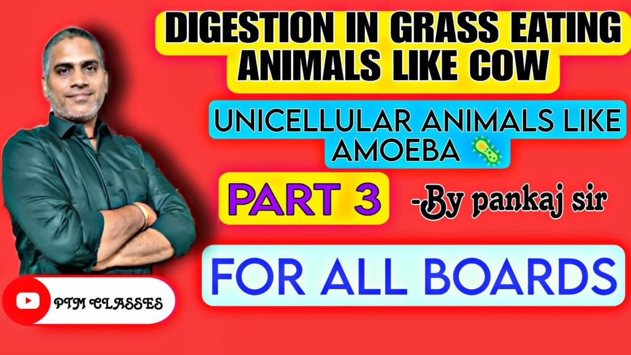 Digestion in Animals - Grass eating animals cow # unicellular animals ...