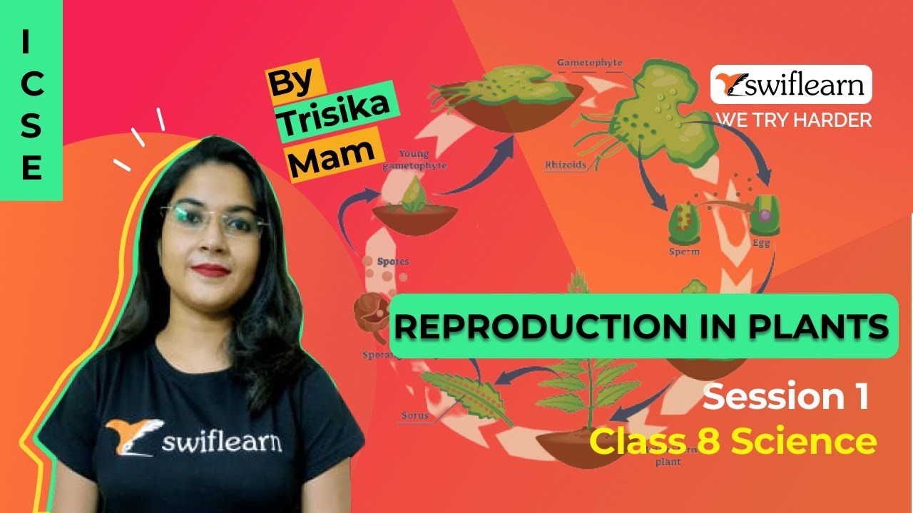 Reproduction in Plants | ICSE Class 8 | Biology Online Class | Session ...