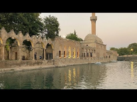 BALIKLI GÖL URFA - FİSH LAKE [TURKEY / ŞANLIURFA] - YouTube