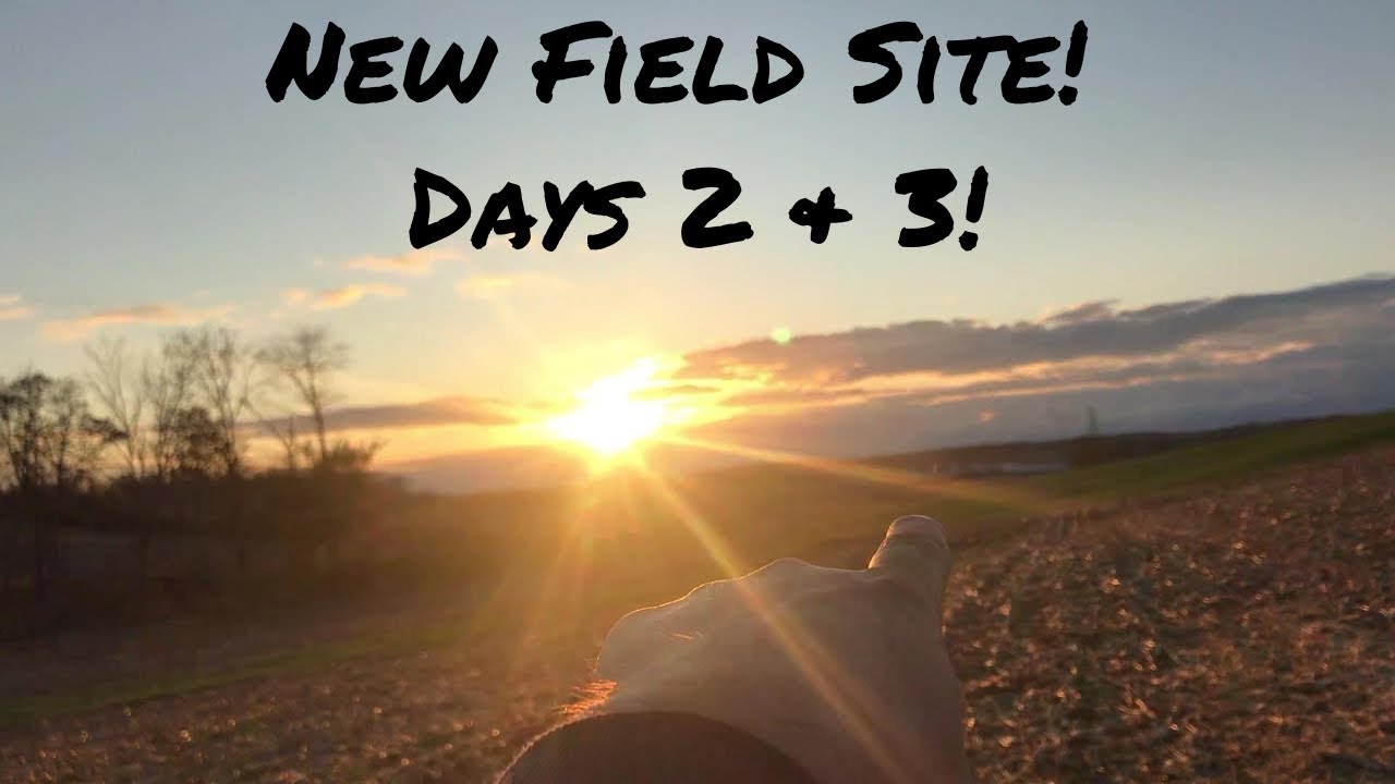 New Fields Site Day 2 & 3! Plus more! - YouTube