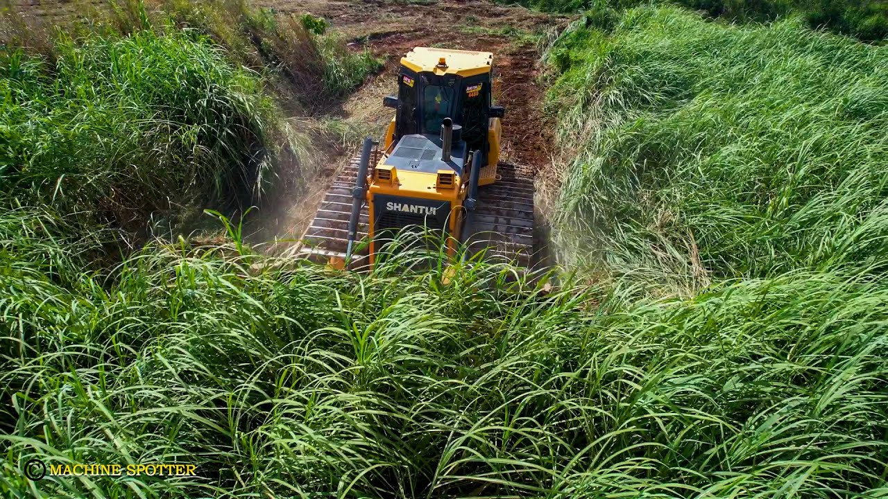The Big Project Clearing Long Grass Process Complete By Technique Skill ...