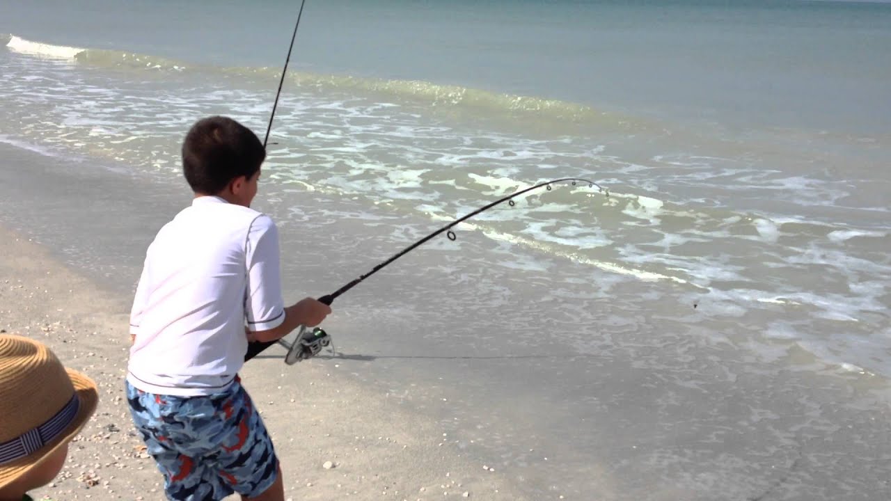 Catching a shark at Clearwater Beach - YouTube