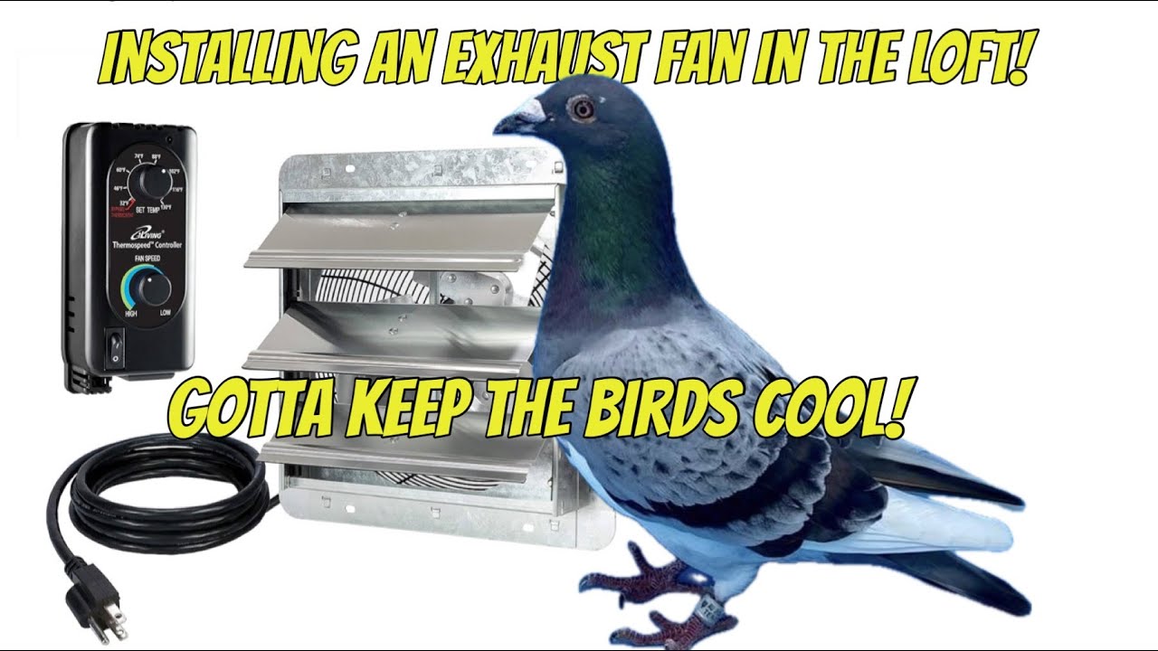Installing an Exhaust fan in the new Loft - YouTube