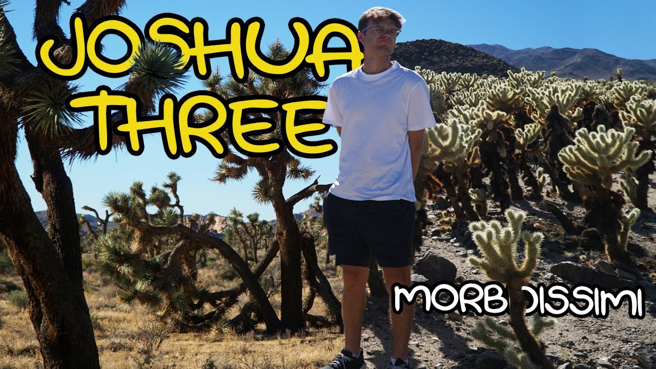 Voglio un JOSHUA THREE 🌴 | USA COAST TO COAST 🇺🇸 #10 - YouTube