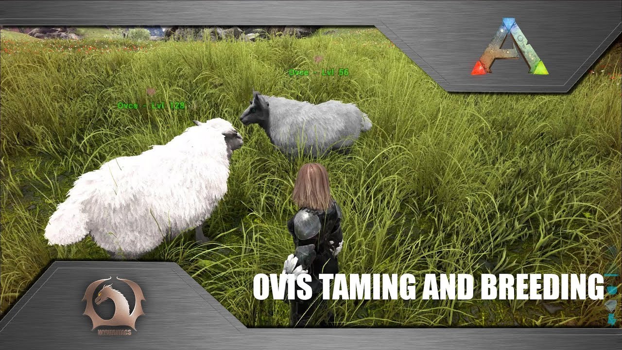 Ark Survival Evolved - Taming and breeding Ovis / Where to find / How ...
