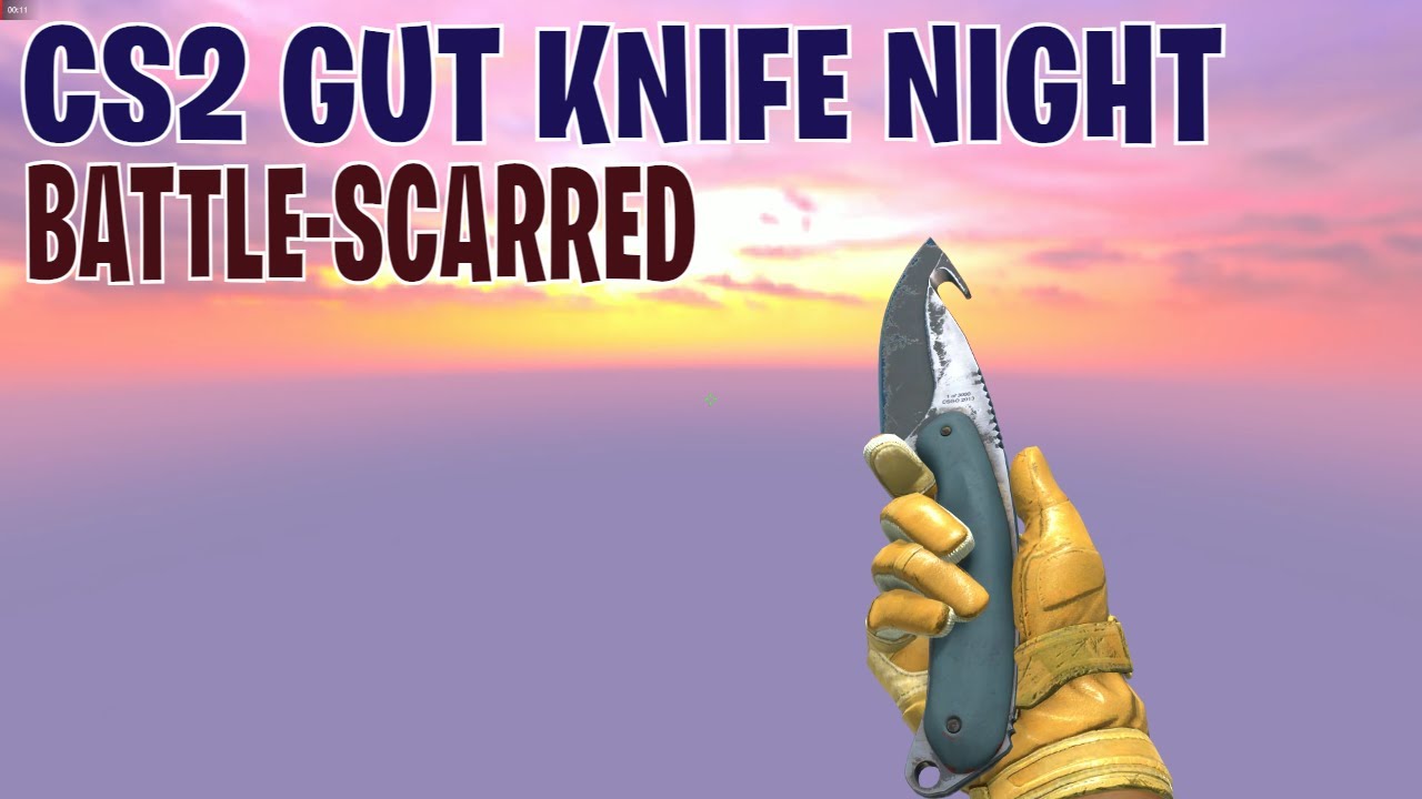 Gut Knife Night (Battle-Scarred) | CS2 Skin Showcase #518 - YouTube