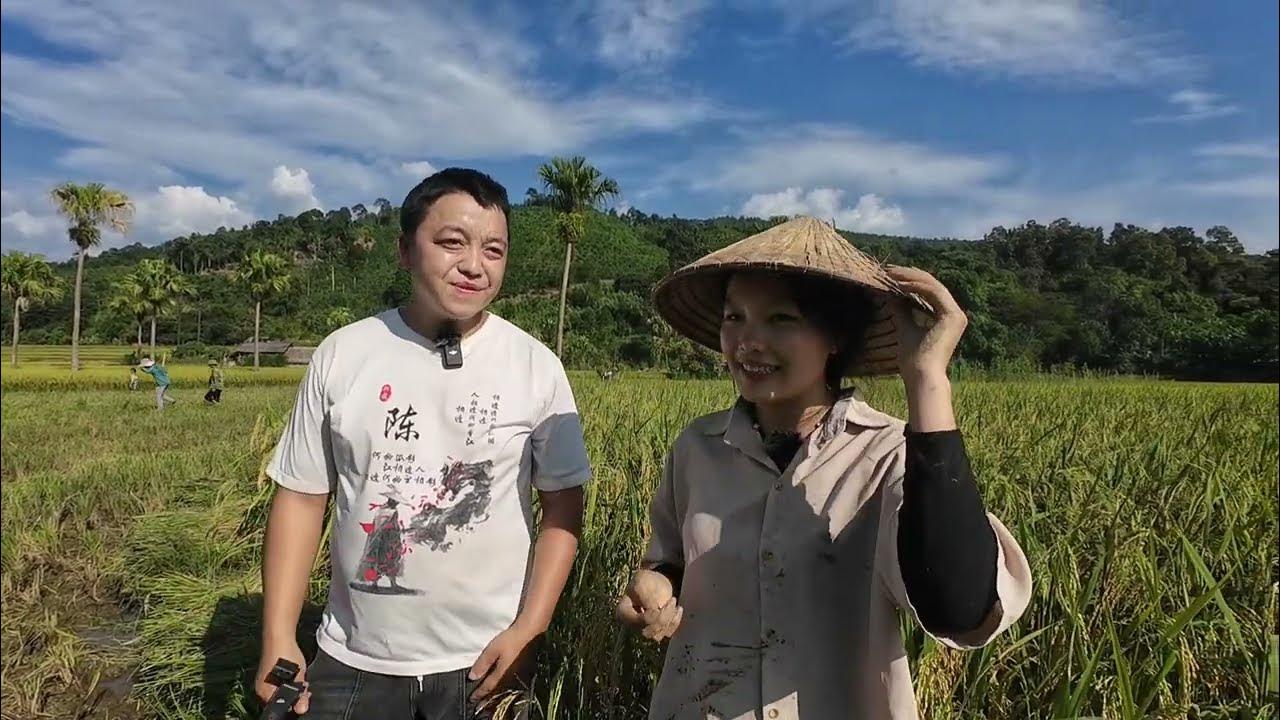 hnub no Tij laus TeevThoj Tuaj txog ntawm kuv Nkauj see nrog mus hlais nplej Lom zem heev Zoo Li ...