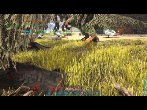 Easy ARK: Survival Evolved PS4 Gameplay Tutorial 131 Redwood Forest ...