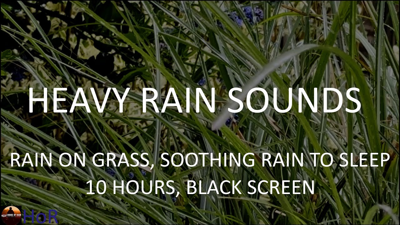 Sounds for Sleeping and Relax, Heavy Rain on Grass, 10 Hours Black ...