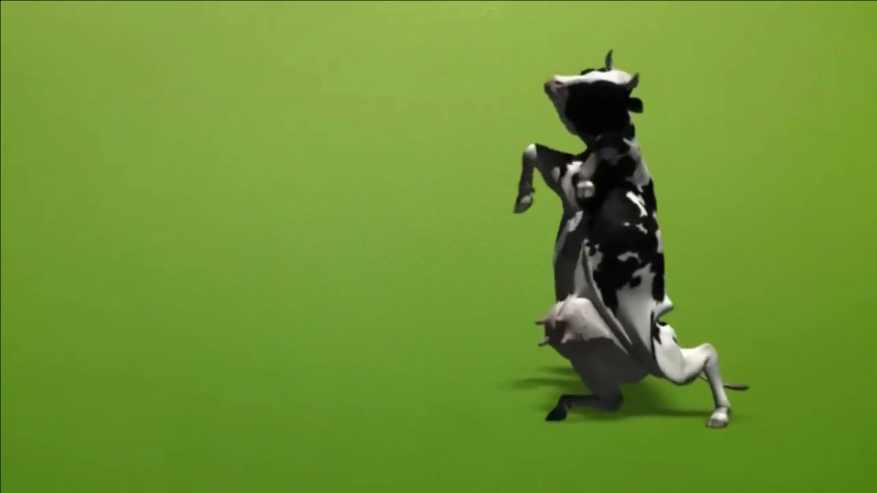 cow dancing green screen video footage free for download @VFX Tools 247 ...